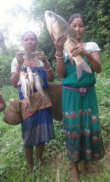Questions raised on Digaru River ecosystem following mass DEATH of fish ...
