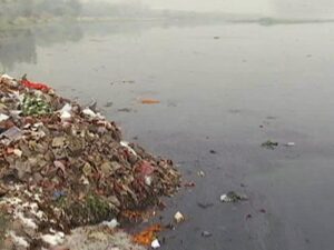 ‘Submit detailed action plan for phase II of Yamuna cleaning project ...