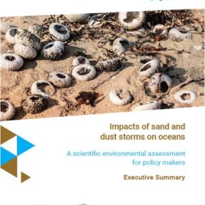 The Impacts of Sand and Dust Storms on Oceans - Focus Global Reporter