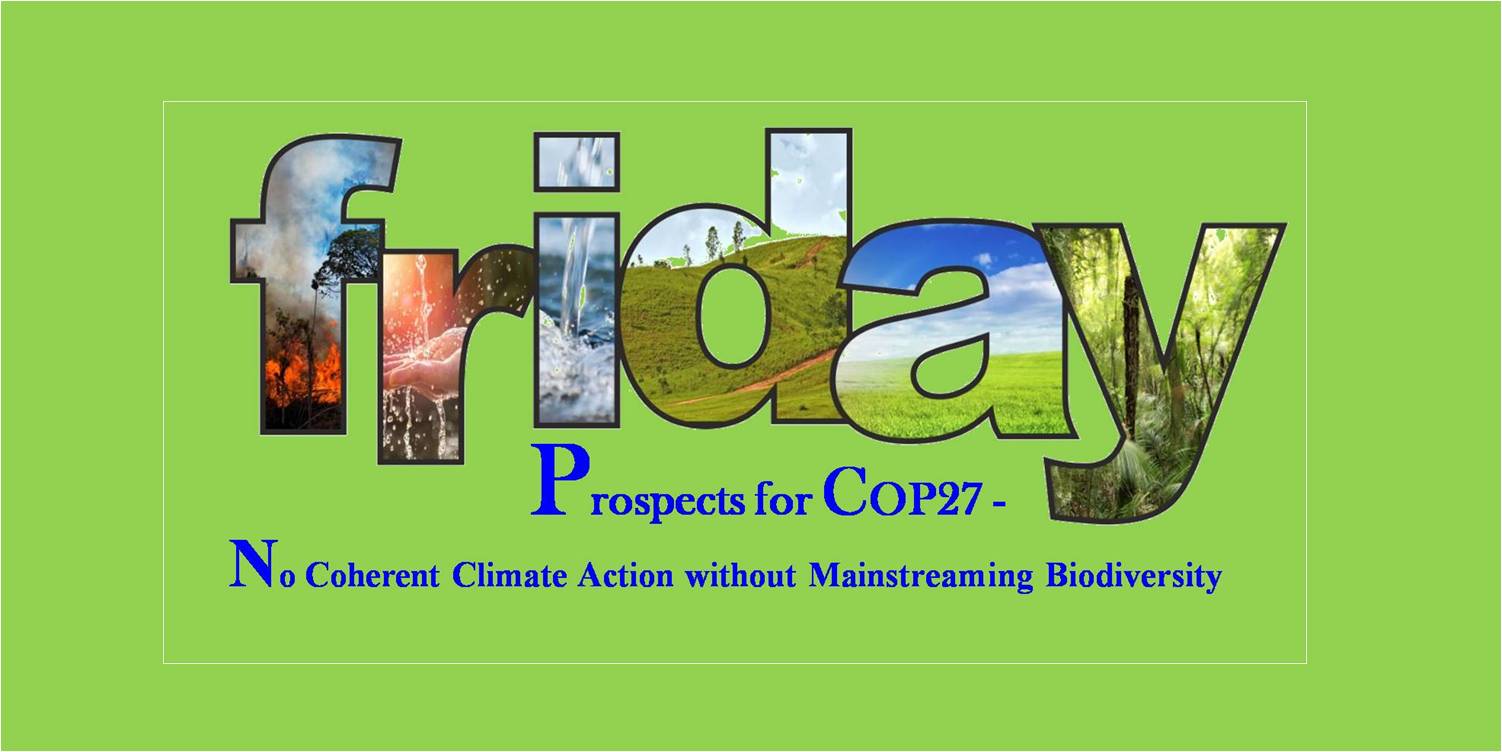 No Coherent Climate Action without Mainstreaming Biodiversity - Focus ...