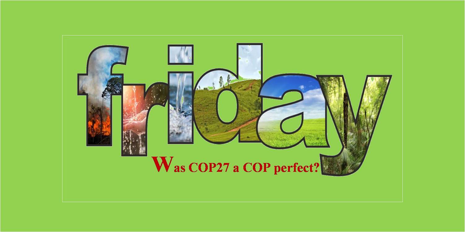 Was COP 27 a COP perfect? - Focus Global Reporter