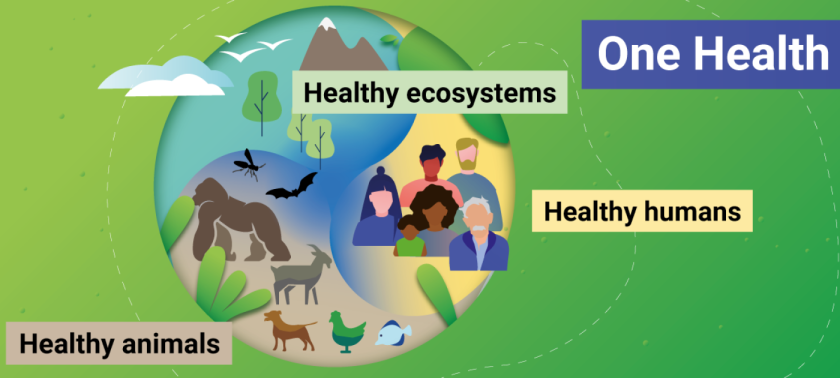 Building Back Biodiversity: A Prerequisite for One Health Approach ...