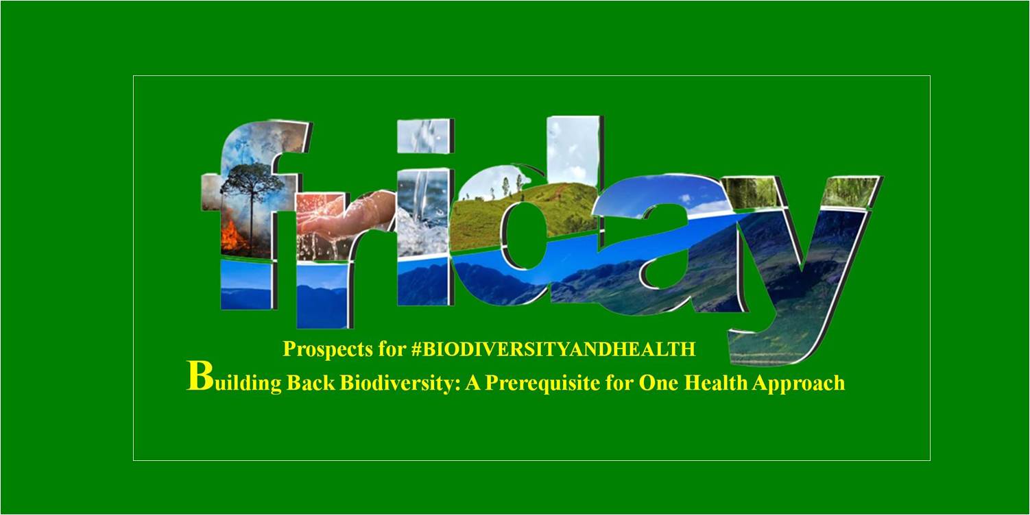 Building Back Biodiversity: A Prerequisite for One Health Approach ...