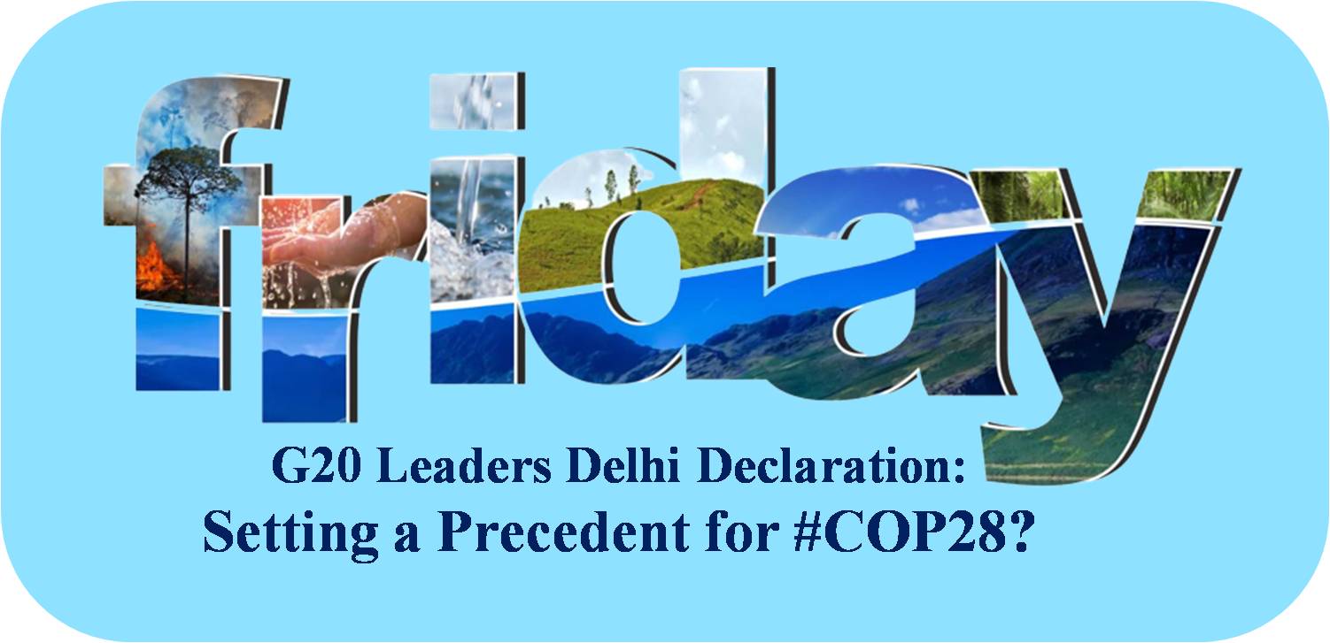 G20 Leaders Delhi Declaration: Setting a Precedent for COP 28? - Focus ...